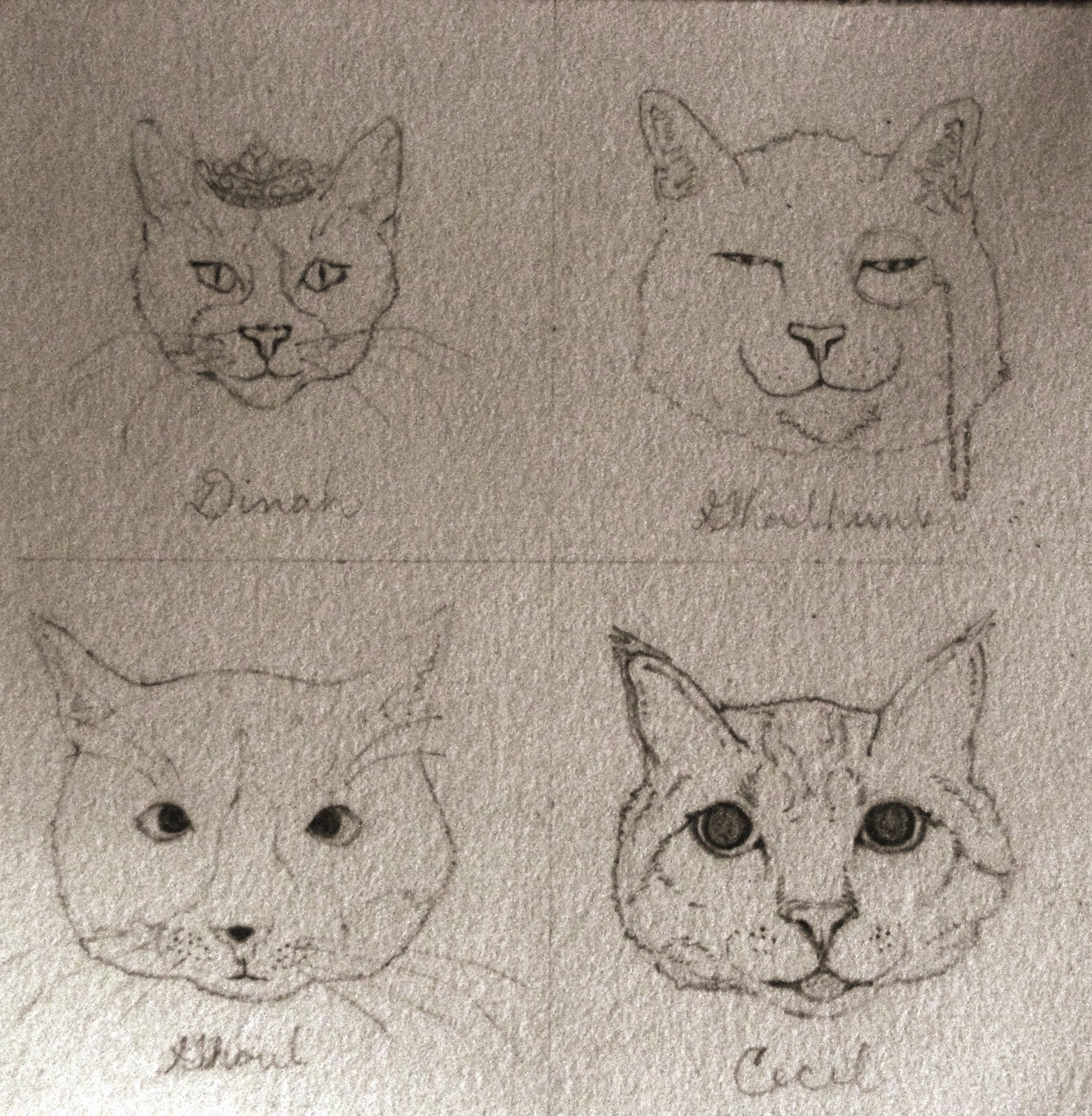 From Scratch: Meow: Portraits for the Lonely