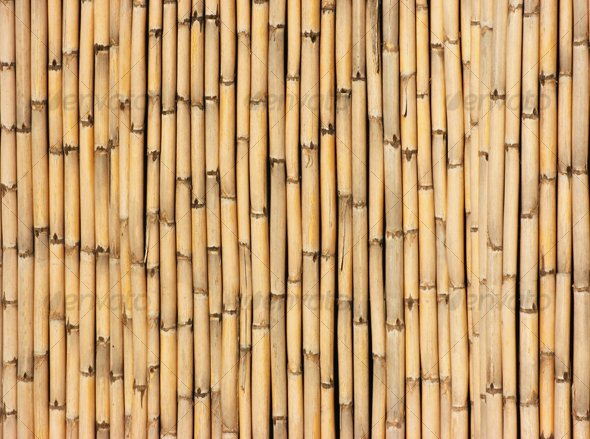 Bamboo Reeds | Bamboo Valance Photo