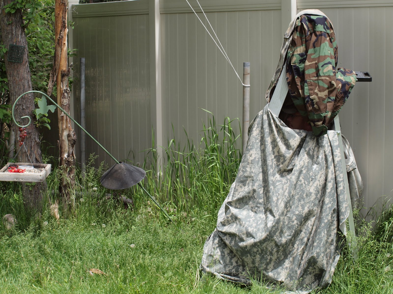 Birding Is Fun!: Makeshift Backyard Bird Photography Blind