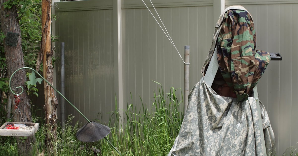 Birding Is Fun!: Makeshift Backyard Bird Photography Blind