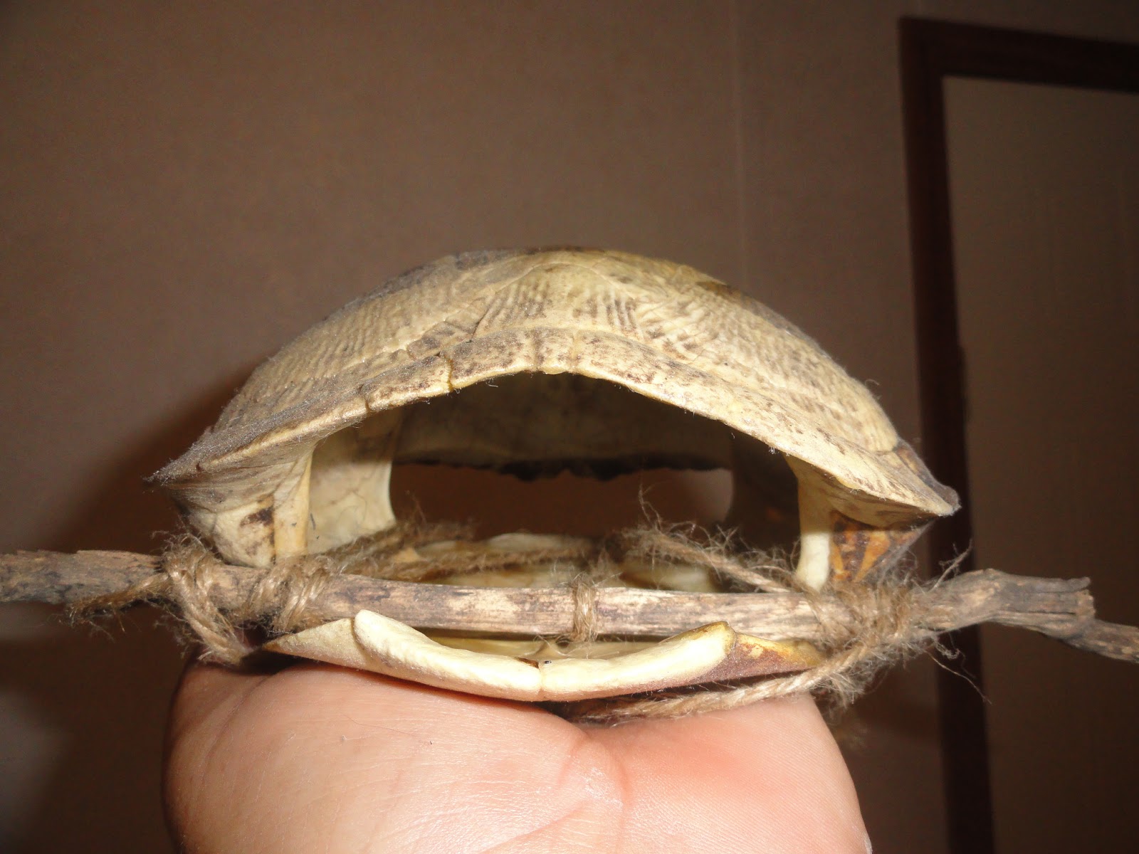 Crafts of the Living Dead: DIY Turtle Shell Voodoo Wind Chimes