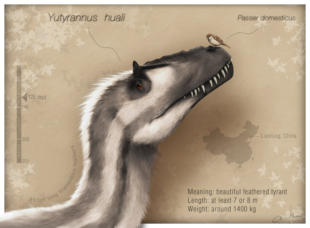 Species New to Science: [Paleontology • 2012] Yutyrannus huali ...