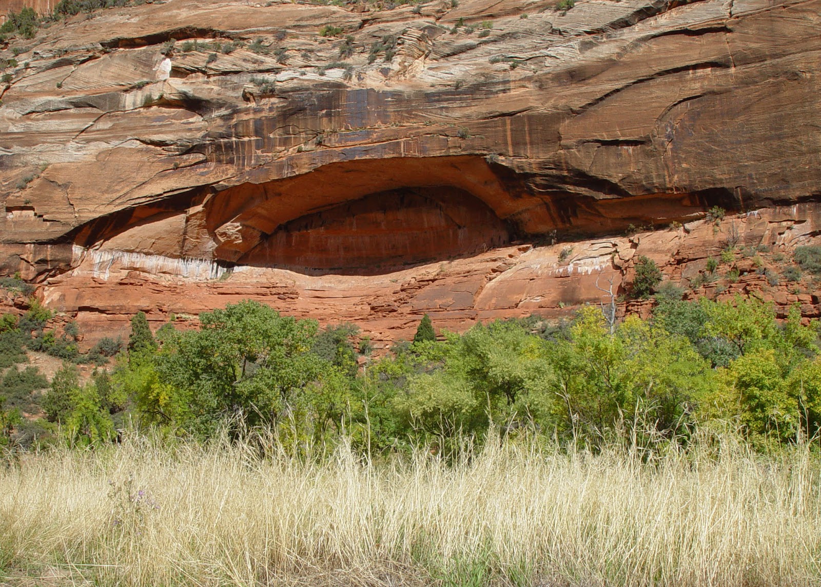 Eden By The Bay: Zion National Park