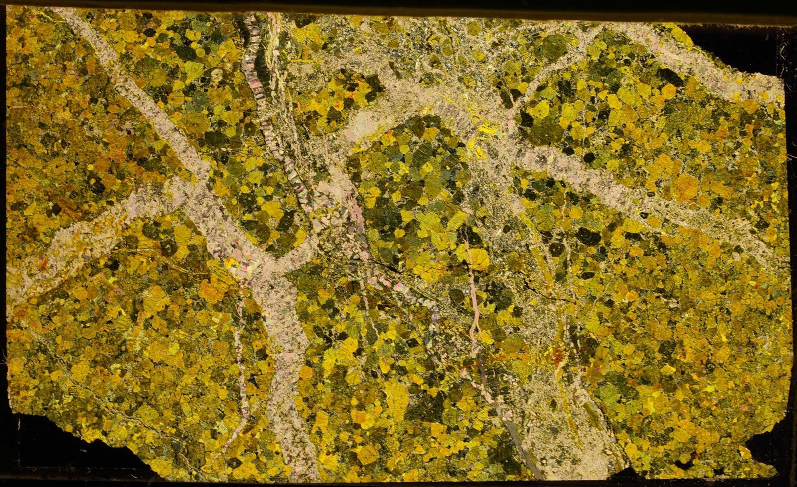 Peridotites: Presque Isle peridotite - full thin section