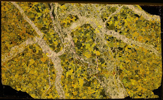 Peridotites: Presque Isle peridotite - full thin section