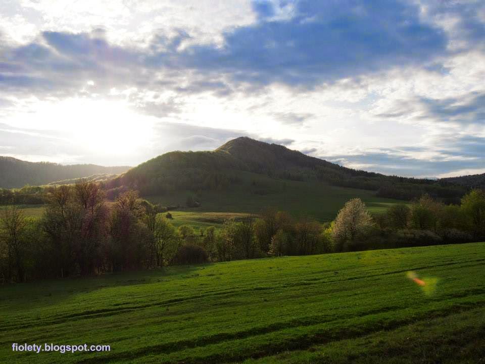Kolory życia: Cigeľka