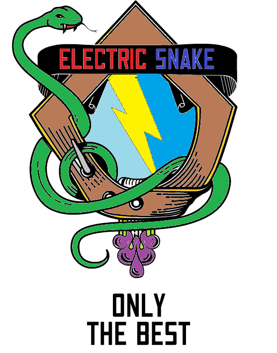 Electric Snake BLOG