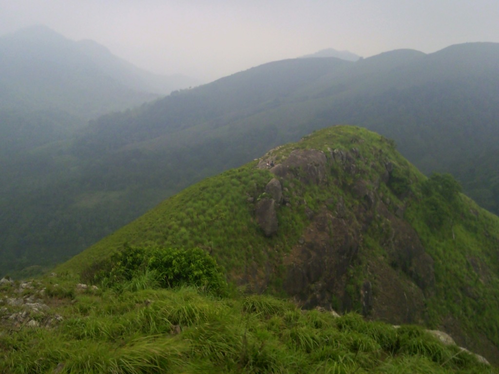 Nature Enthus - DLC : Rajathottam - The Ruler's Choice