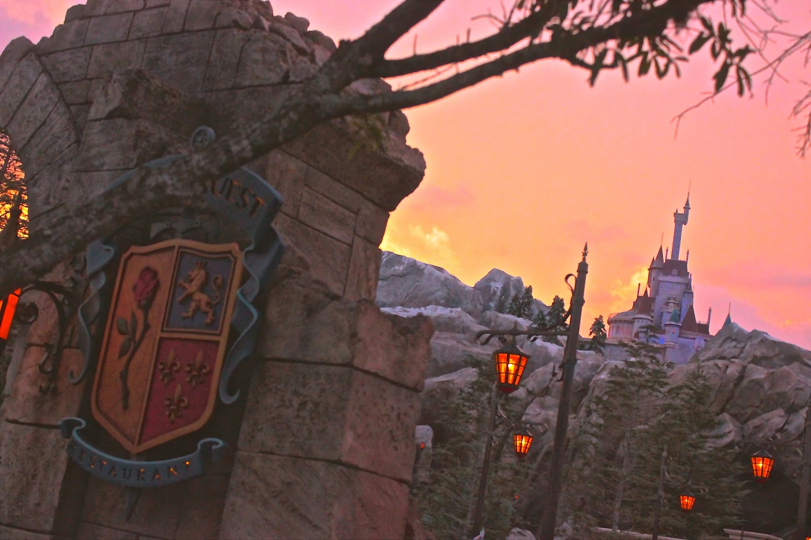 Adventures In Images: The Story Behind the Photo: The Beast's Castle