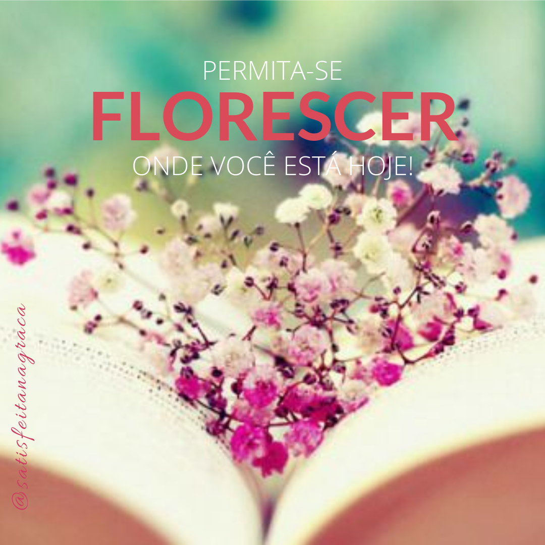 Floresça onde está plantada