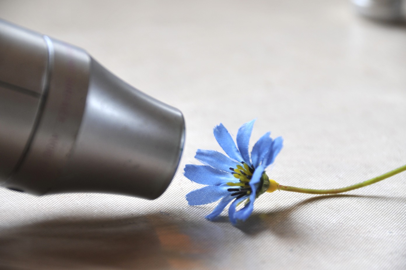 Honey Bee Hop- Day 2