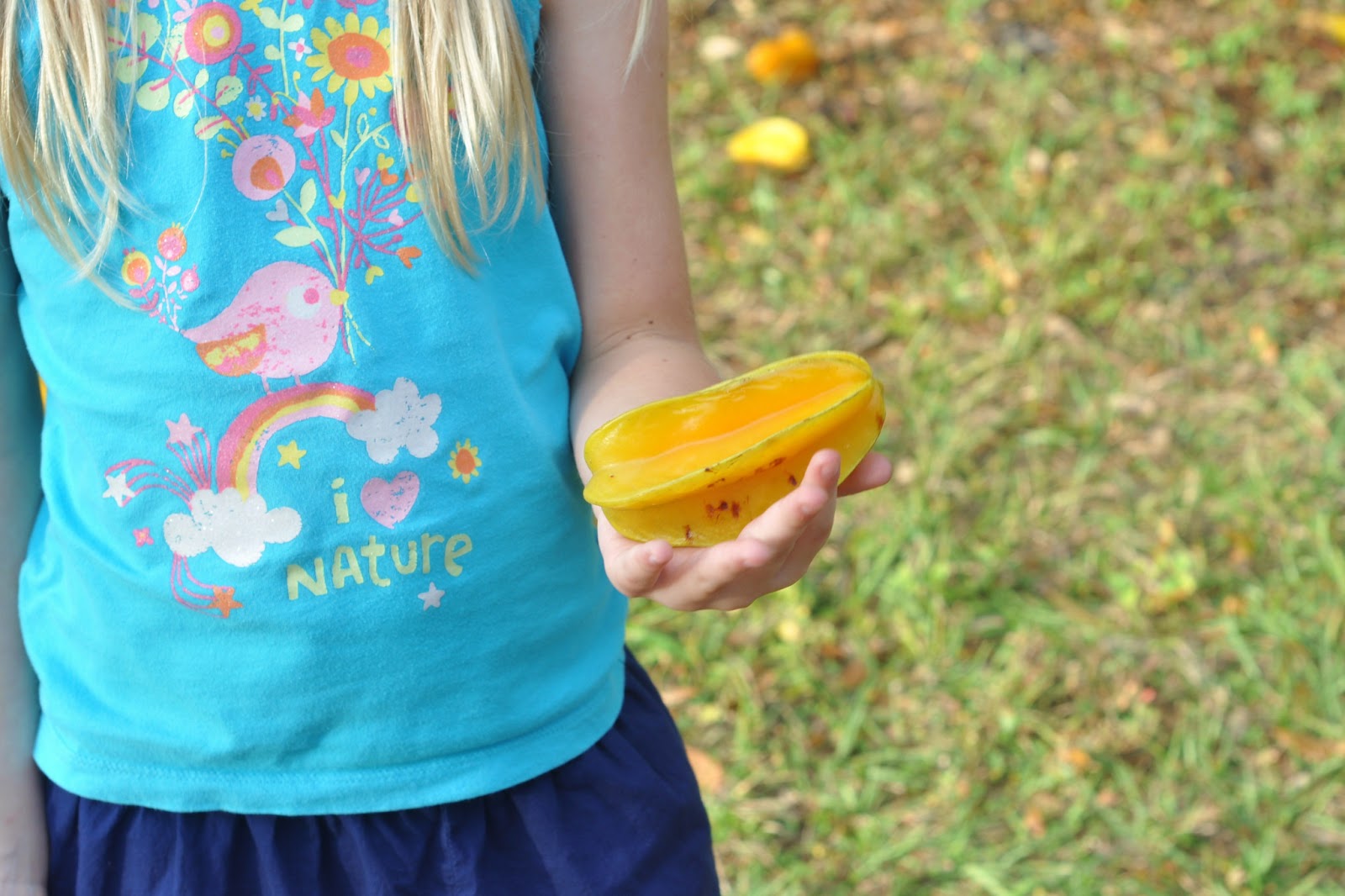 A Natural Nester: A Winter Walk + Star Fruit Stamps