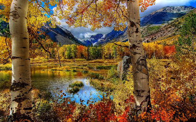 Imagini Frumoase de Toamna | Poze Super Misto