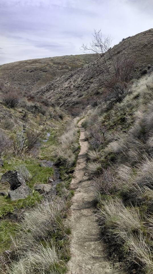 Umtanum Ridge Crest - The First Half - Islands to Mountains