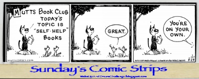 Wake Up and Dream Catalyst | Barbara Lavi