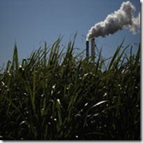 EL CAJON DE LOS CONOCIMIENTOS: CHACUACO