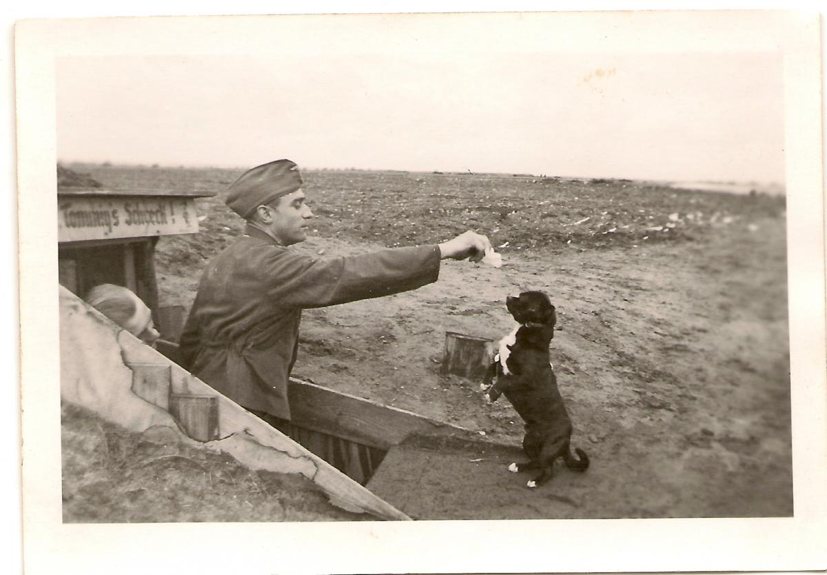 NAZI JERMAN: Album Foto Anjing (Hunde) Nazi Jerman