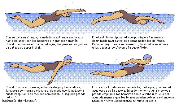 NATACIÓN: Estilo mariposa