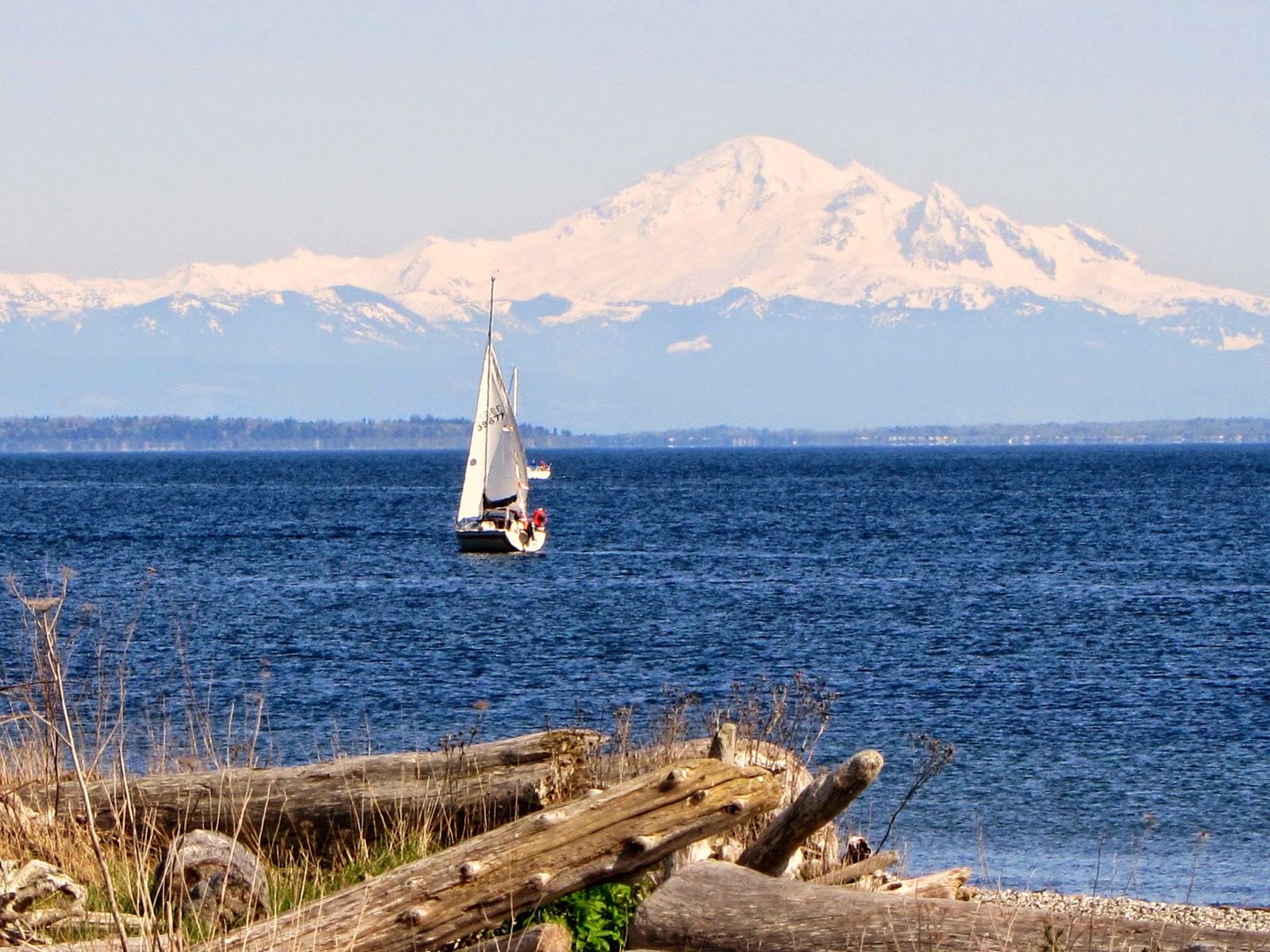 My Front Porch: Point Roberts, Washington
