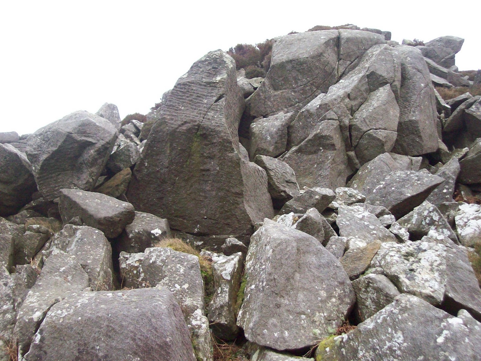 Random Daily Walks: CARN INGLI (NEAR NEWPORT PEMBS)