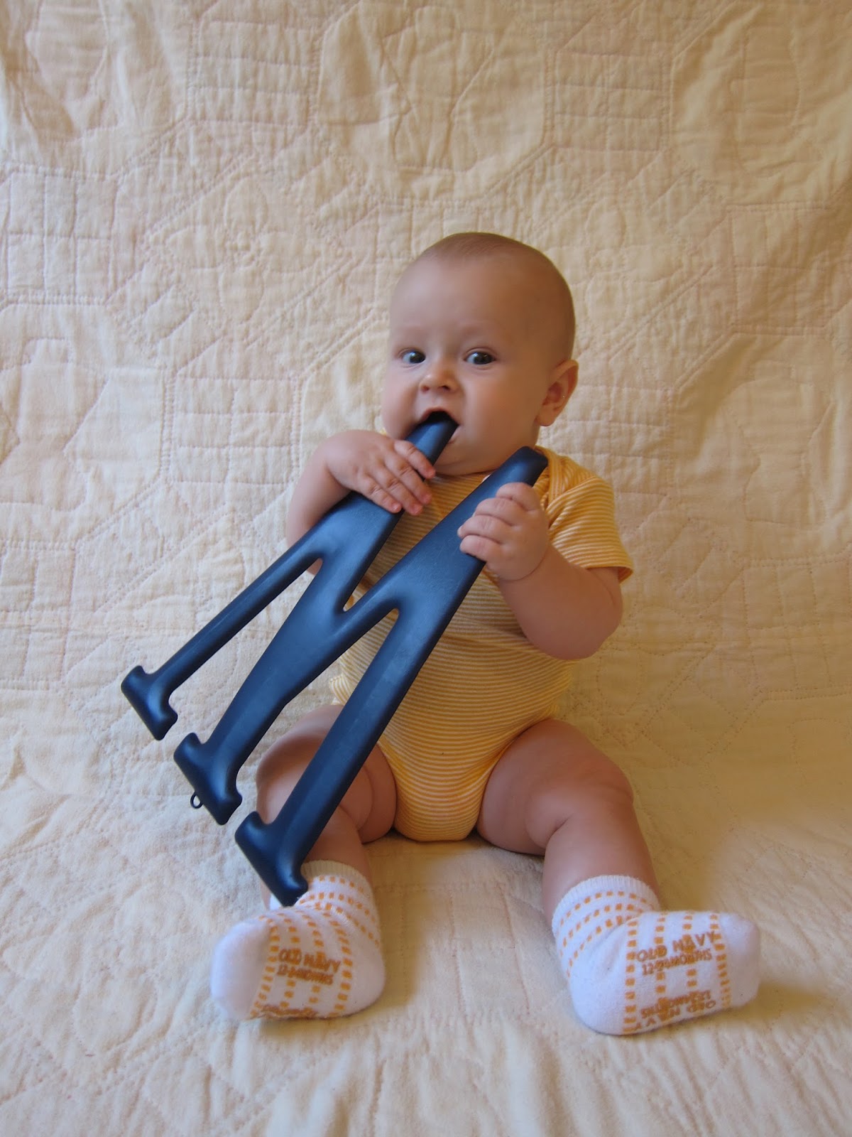 The Book of the Binghams