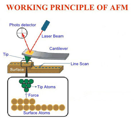 Biomedicine blog: 2.2. Atomic force microscope (AFM)