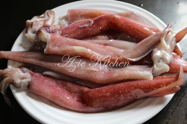 apa itu sotong merah - MarytaroHurst