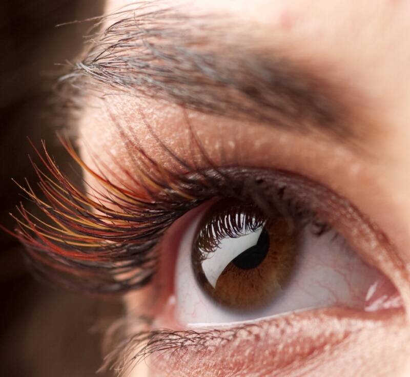 Lash L'Amour: Lash Highlights: Yay or Nay