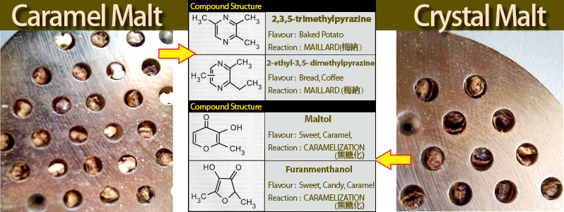 Bake n Brew 貝肯布自釀啤酒原料專賣: Caramel Malt vs. Crystal Malt