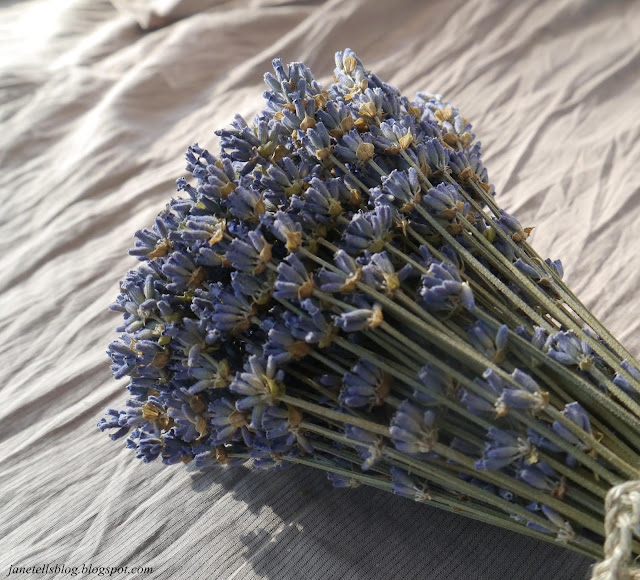 The Creative Blog: Лаванда / Lavender