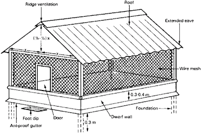 Recommendations for Constructing A Chicken House - biographypedia