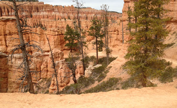 Camping and Horses : THE BEST FOR LAST - BRYCE CANYON UTAH