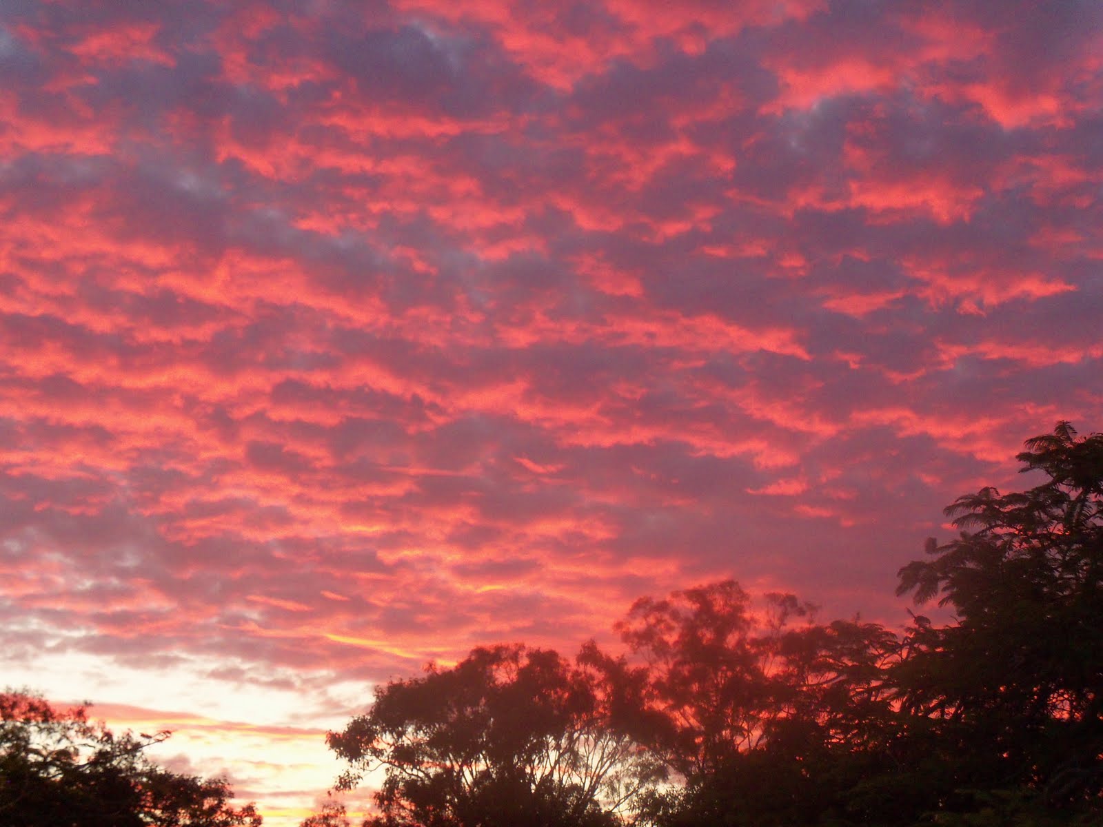 My Australian Adventure: Pink and Blue Sunsets :)