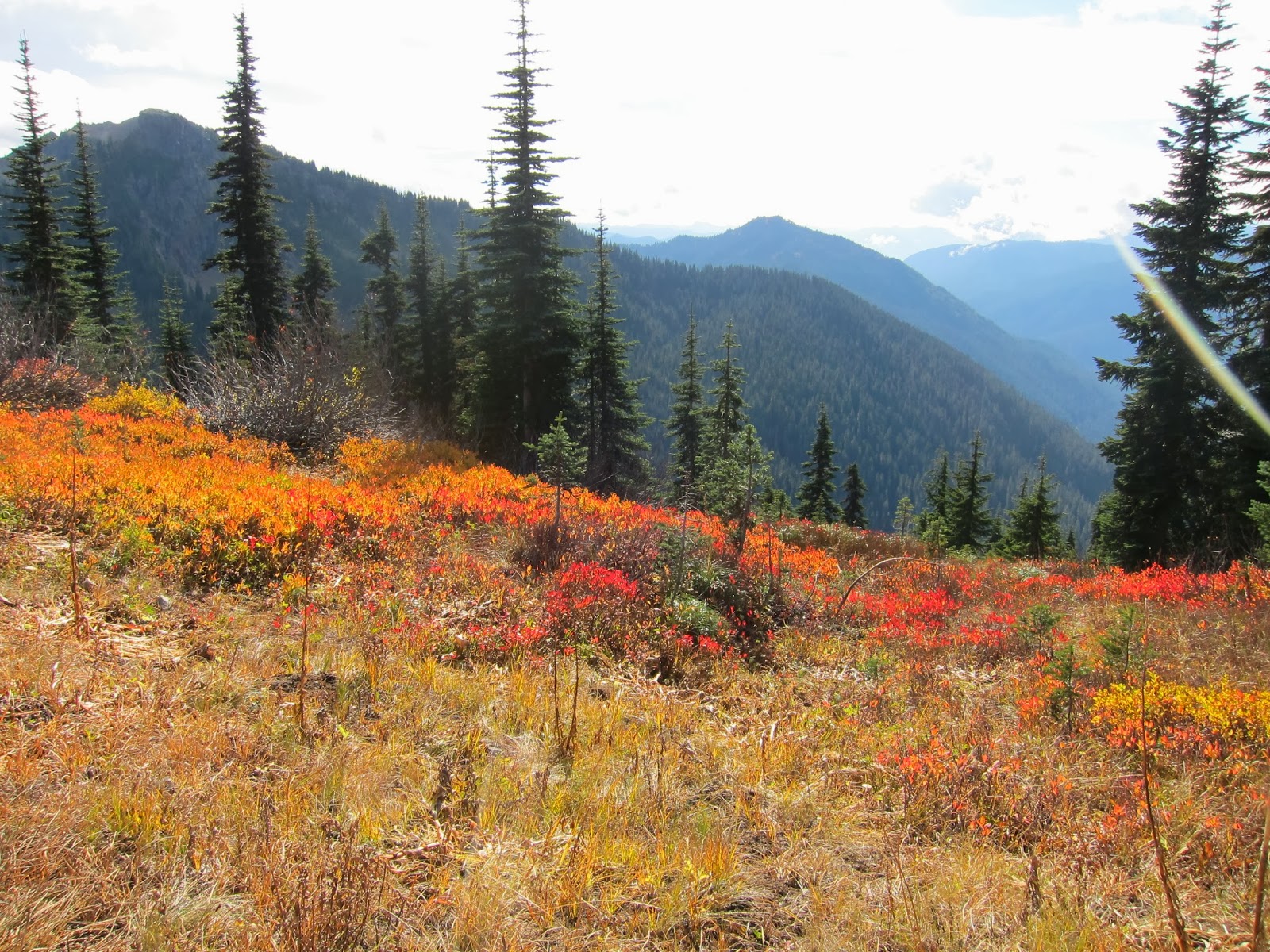 Pacific Northwest Seasons: Fall Colors in the Pacific Northwest