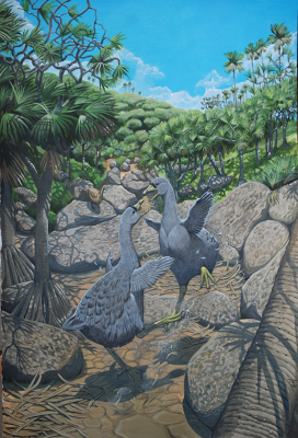 Species New to Science: [Ornithology / Behaviour • 2013] Fight Club: a ...