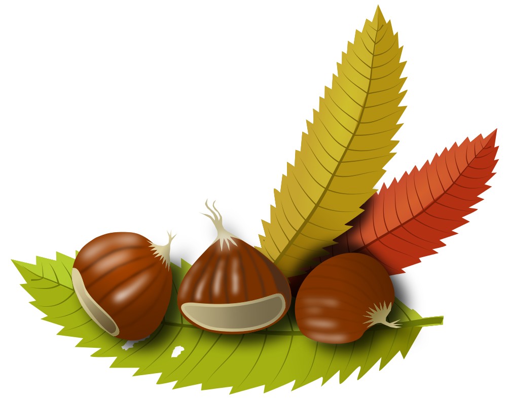 Inkscapes: Dia de castanhas - S. Martinho