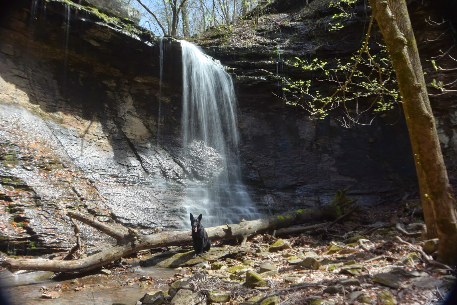 Rick's Hiking Blog: Hadlock Cascade and Magnolia, Woods Boys, and ...