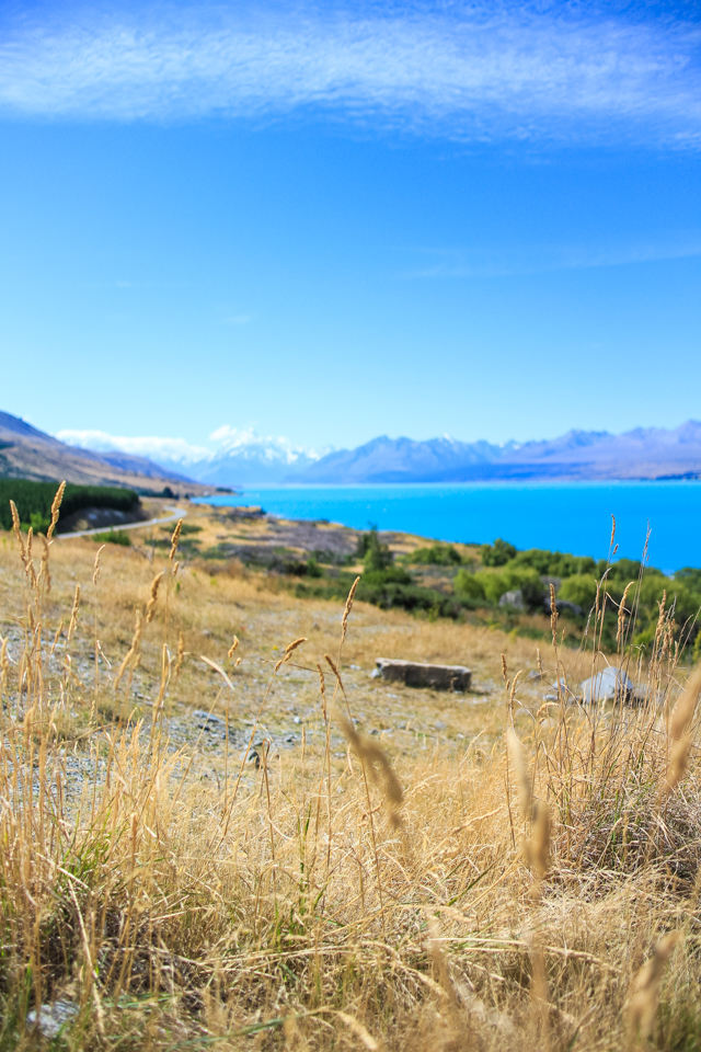 ink + adventure: Mount Cook and the "perfect" campsite