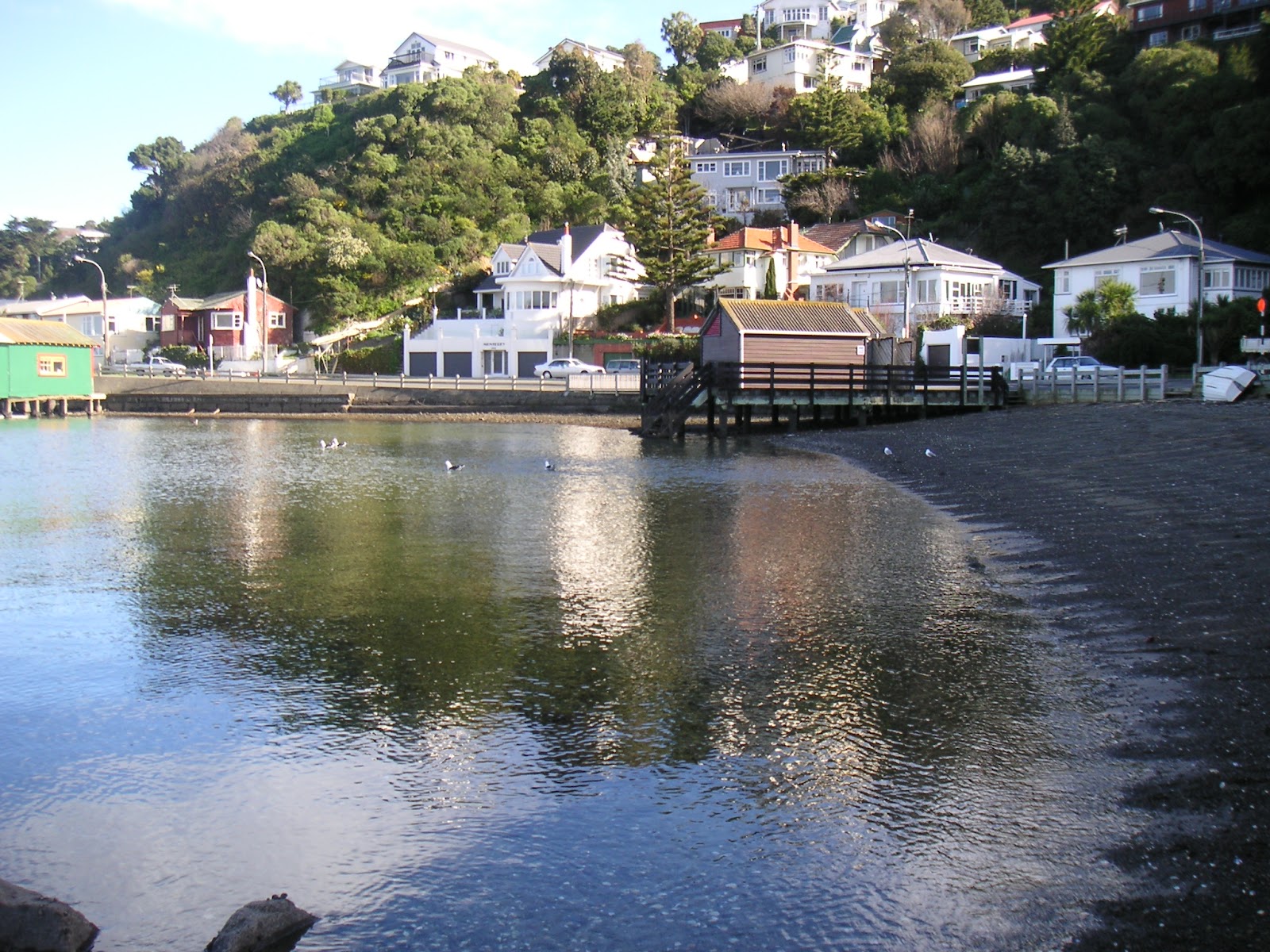 Bliss and the Retiree: Swimming! - one down, two to go!