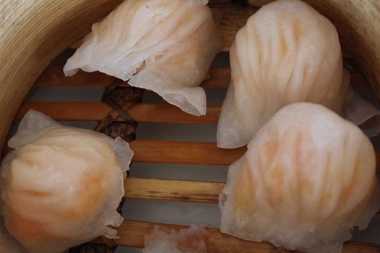 Stay, Stray, Play and Feast: Awesome Feast at CWC Clubhouse Awesome CWC ...