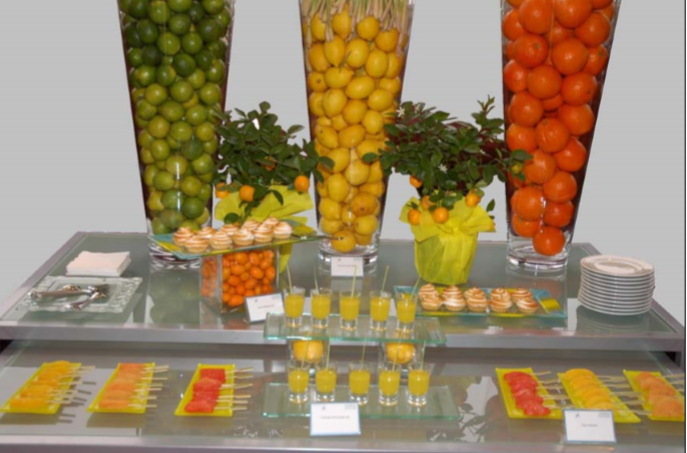 Ivan Zekic Portfolio