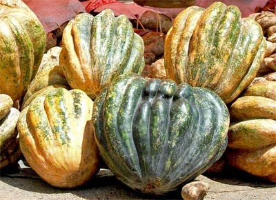 KHASIAT BUAH WALUH UNTUH CEGAH DIABETES, KANKER, KOLESTEROL, JANTUNG ...