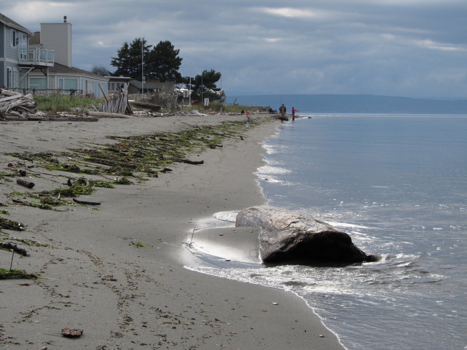 Gravel Beach: Bush Point
