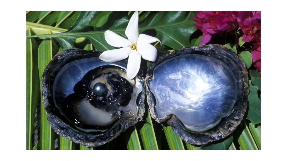 La Perla de Tahiti o Perla Negra