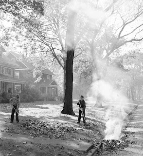 The Ed Weathers Blog: Under Fall’s Pretenses: Woodbane Suffers the ...