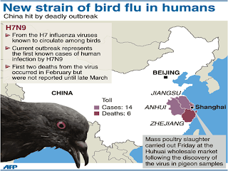 maqis_puteriharbour: Selsema burung (AVIAN INFLUENZA)