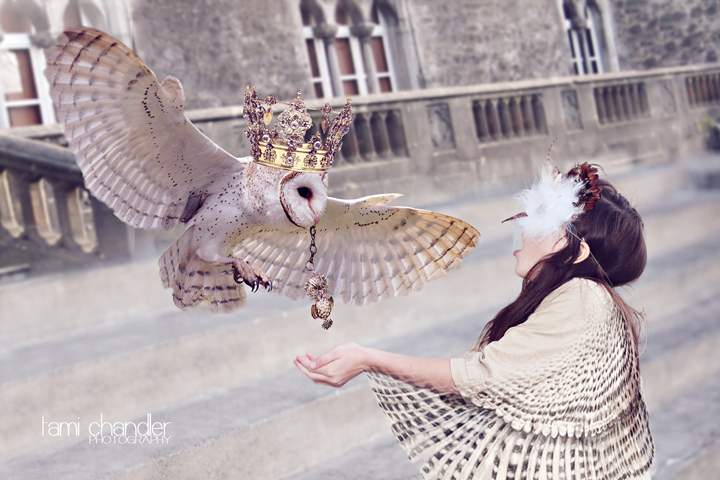 Tami Chandler Photography: the owl queen