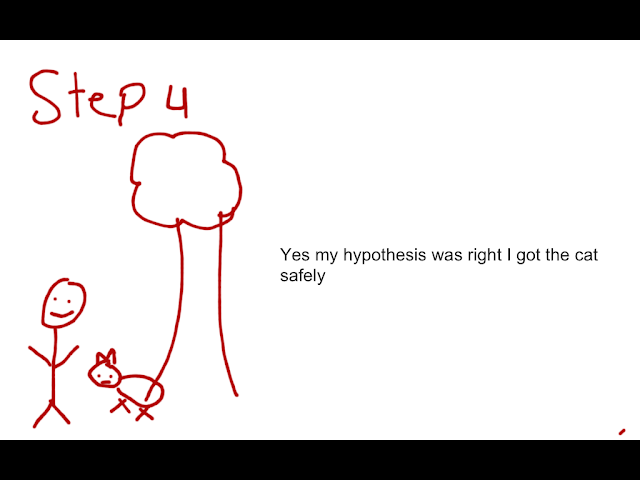 Science in Mrs. Candea's Classroom: The Scientific Method Cartoon