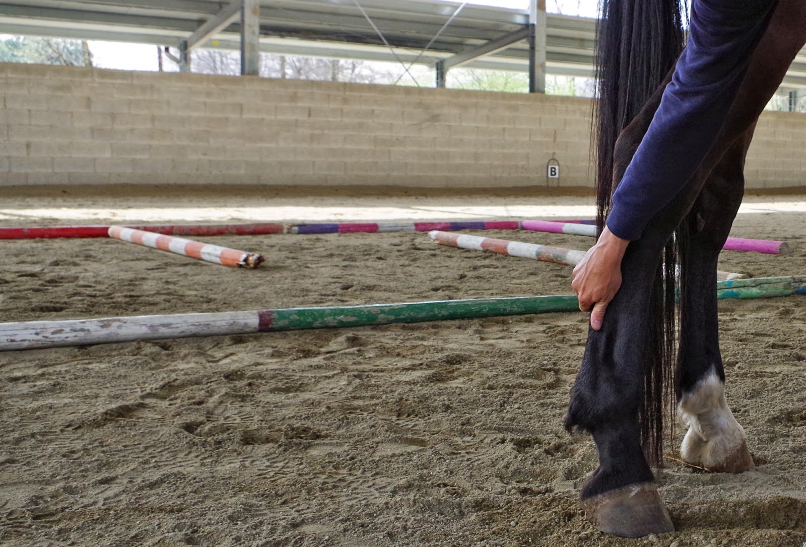 Tacchi a Cavallo: The Touch That Teaches: introduction to the ...