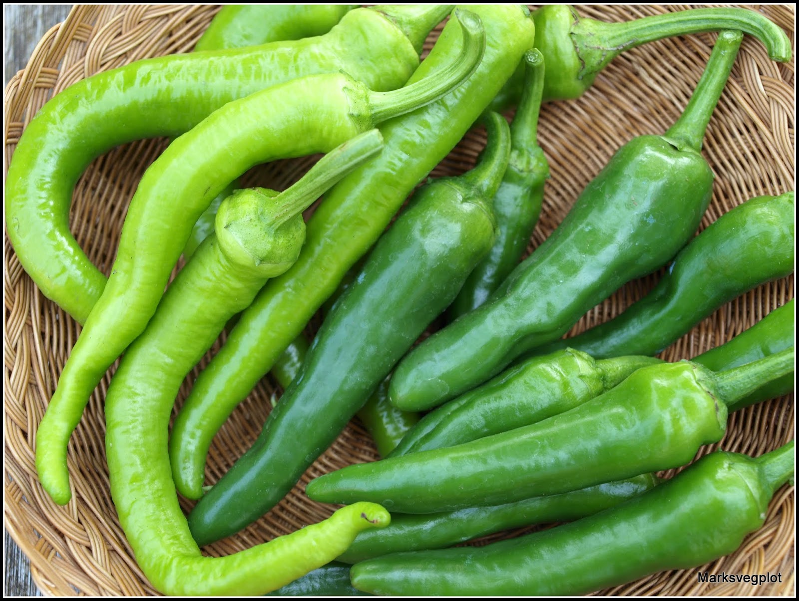 Mark's Veg Plot: Pickled Green Chillis